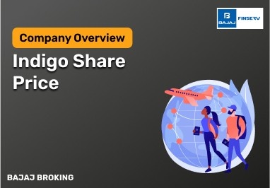 Indigo - About, Objective & Overview