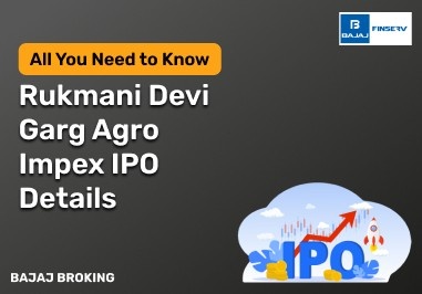Rukmani Devi Garg Agro Impex IPO: Key Objectives & Opportunities