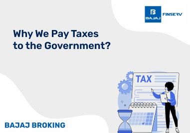 Why We Pay Taxes to the Government- Key Reasons Explained